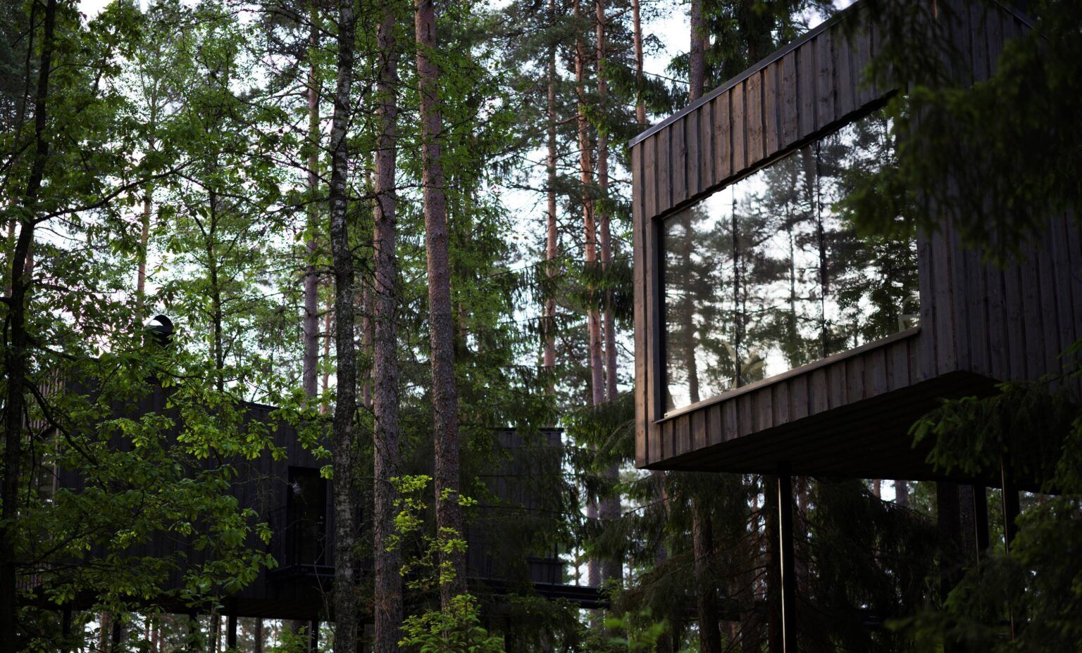 Bo blandt træerne - unika boenden i Småland | Visit Småland